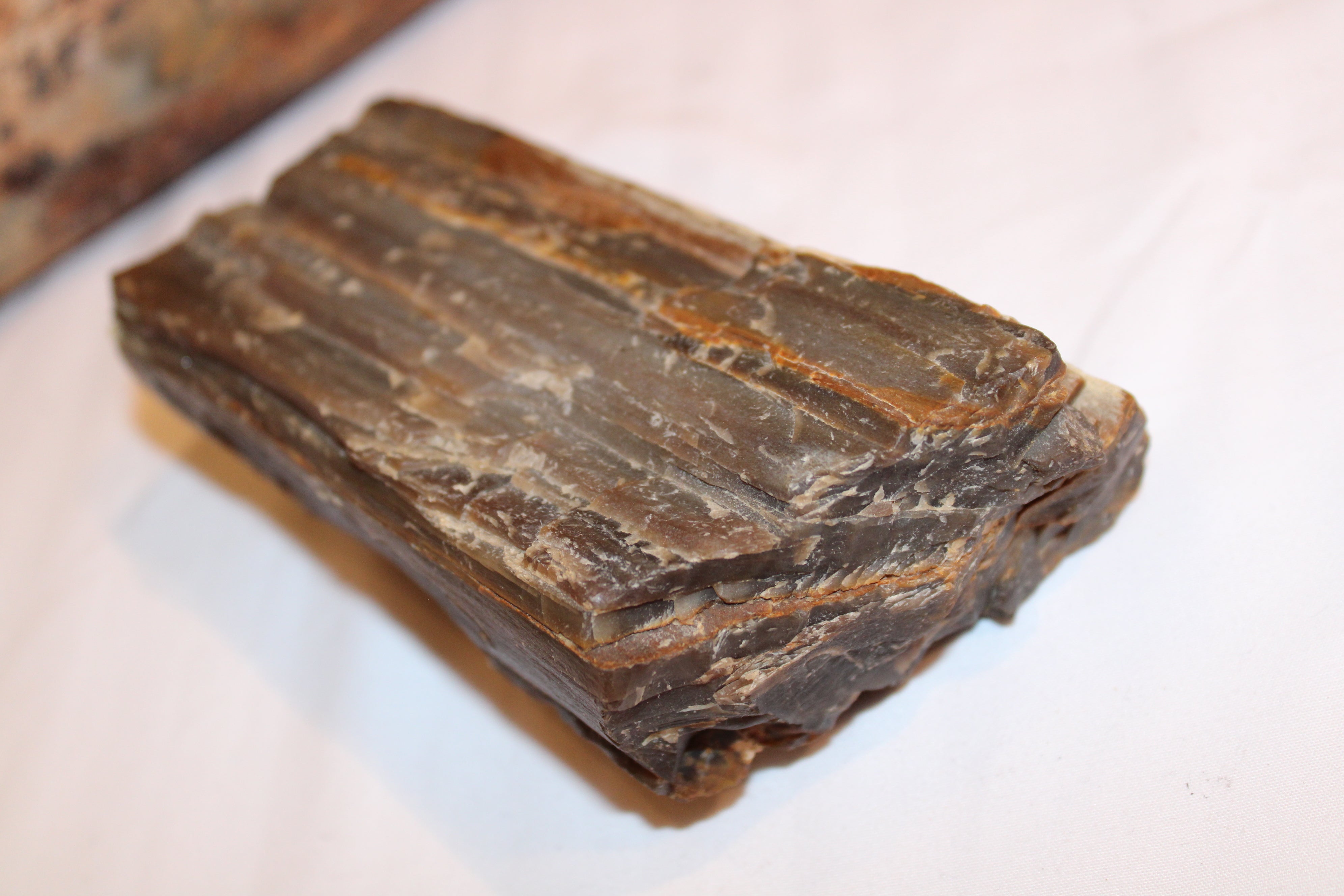 Large Piece of Petrified Wood – Boreal Blue